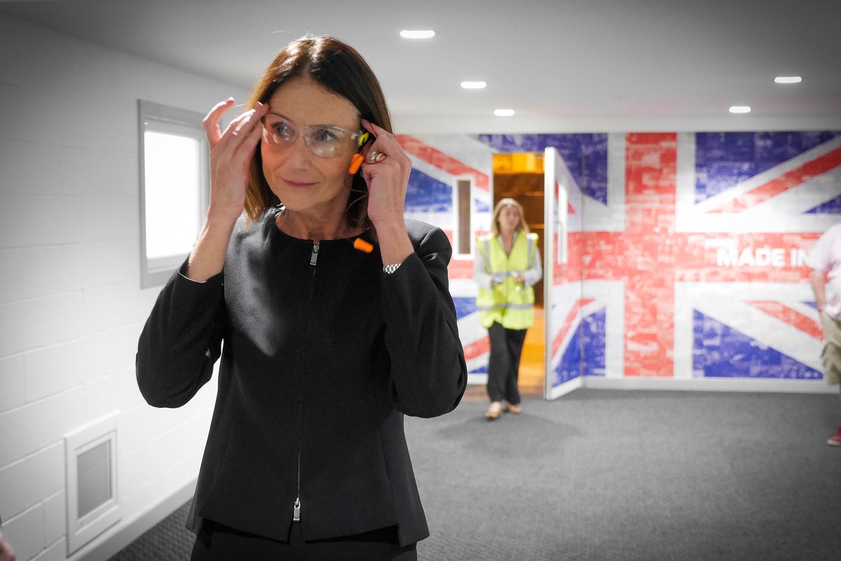 Government's new apprenticeship levy will hit jobs, warns CBI chief ...