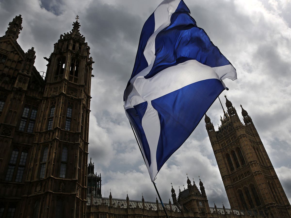 Scottish Tory revival is under way for Scottish Tory leader Ruth ...