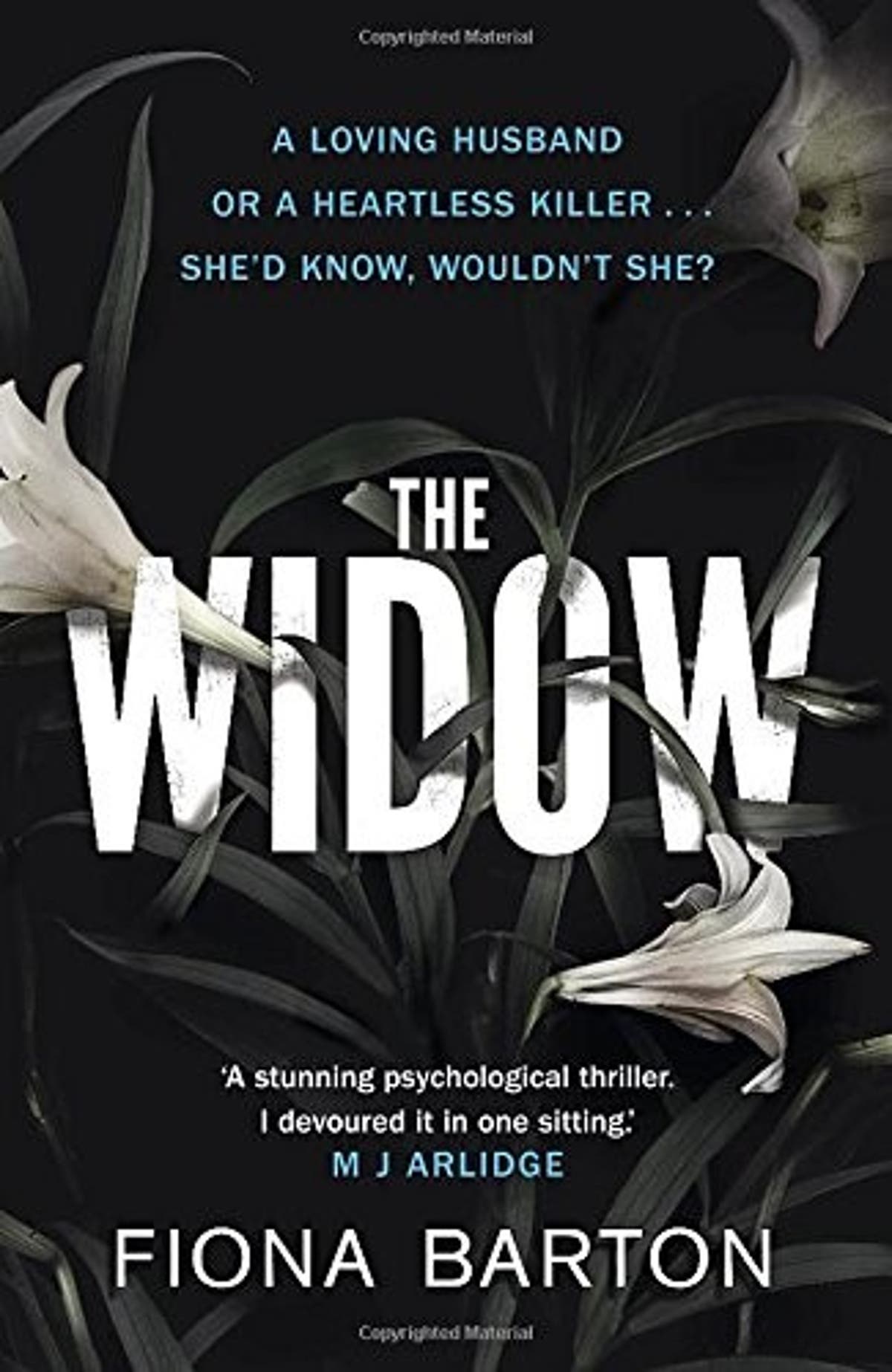 Fiona Barton, The Widow: 'The missing and the dead', book review | The ...