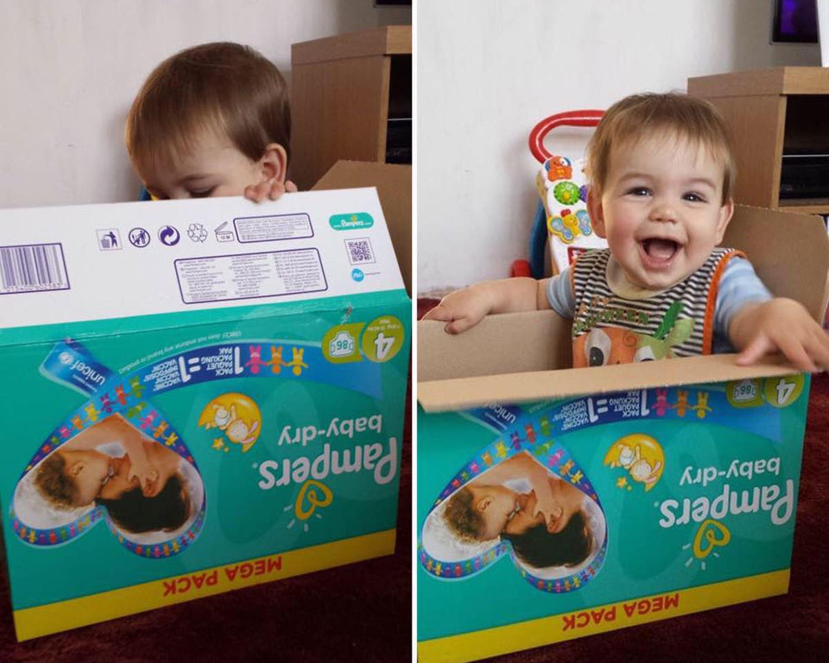 William Mead's 'fate was sealed' after NHS 111 call handlers failed to ...