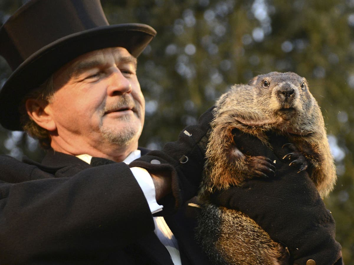 Groundhog Day: Punxsutawney Phil predicts early spring after not seeing ...