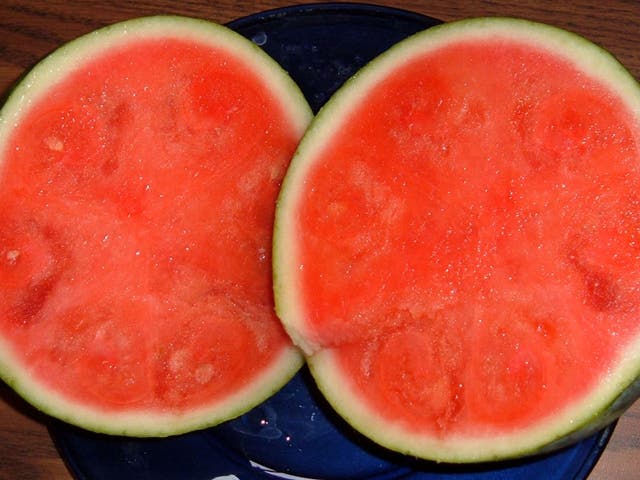 What fruits and vegetables looked like before humans starting growing ...