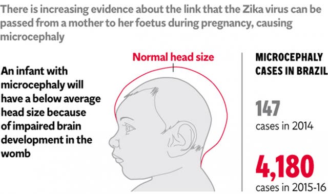 Zika virus: What is it and what are the symptoms? | The Independent