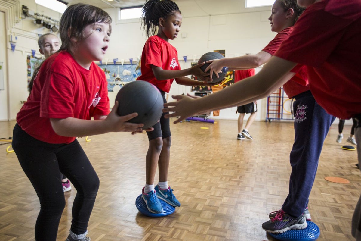 PE for all? Not just a slogan but an effective educational innovation ...