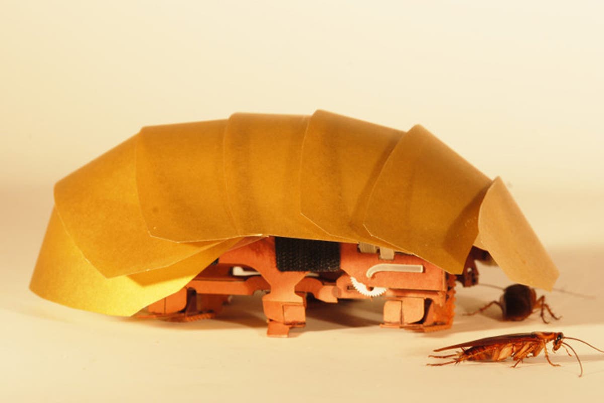 Scientists create robotic cockroach to search disaster areas | The ...