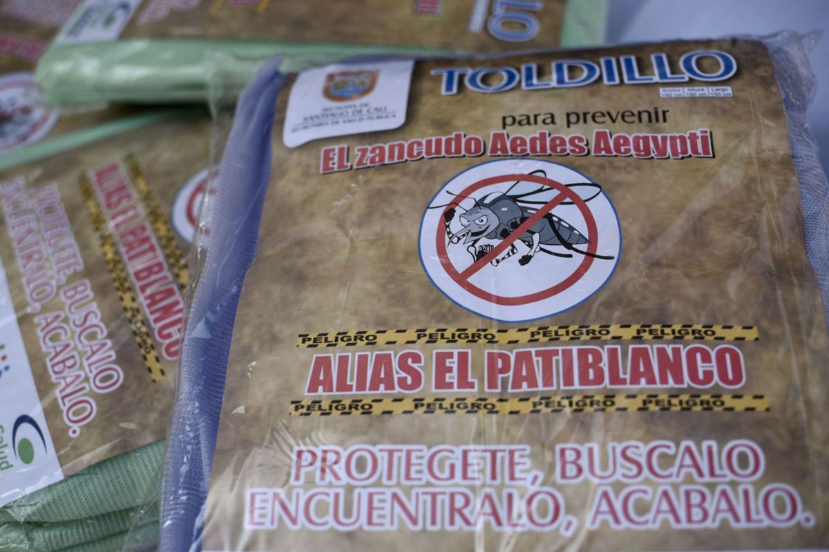 Zika virus: Christian churches split as epidemic sparks new abortion ...