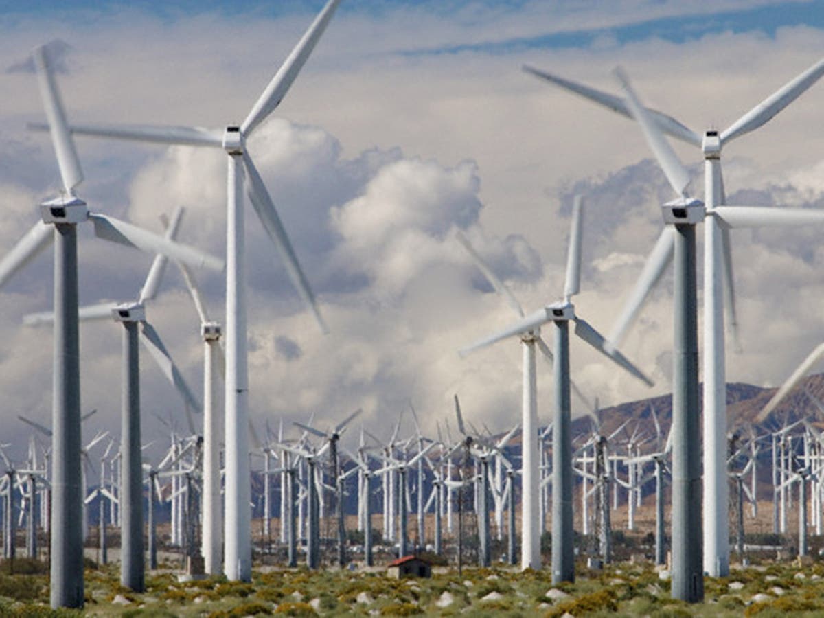 Cogenpower is first AIM listing of the year | The Independent | The ...