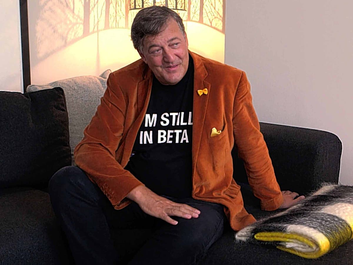 The Not So Secret Life of the Manic Depressive: 10 Years On, TV review ...