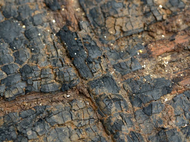 Discovery of huge Bronze Age wheel sheds light on transport in ...
