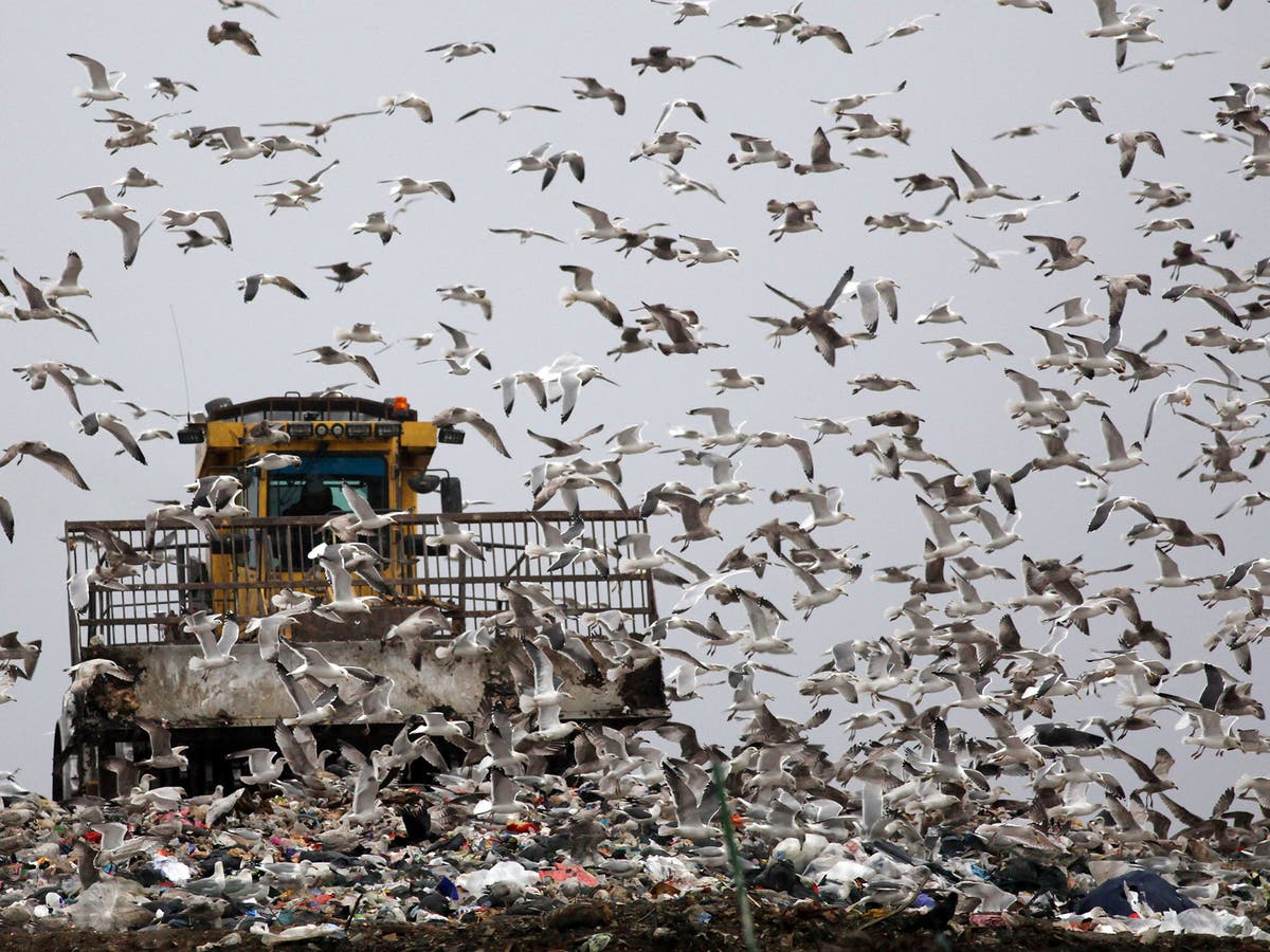 Landfill dumps across UK 'at risk of leaking hazardous chemicals' | The ...