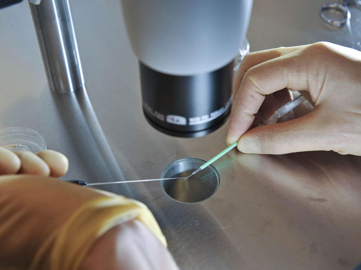 Within 30 Years We Will No Longer Use Sex To Procreate Says Stanford
