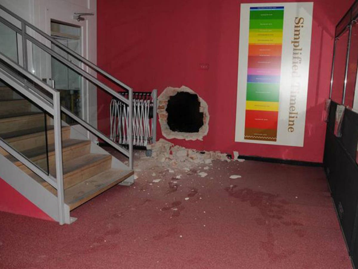 Rathkeale Rovers: How an enthusiastic gardener and his Leylandii ...