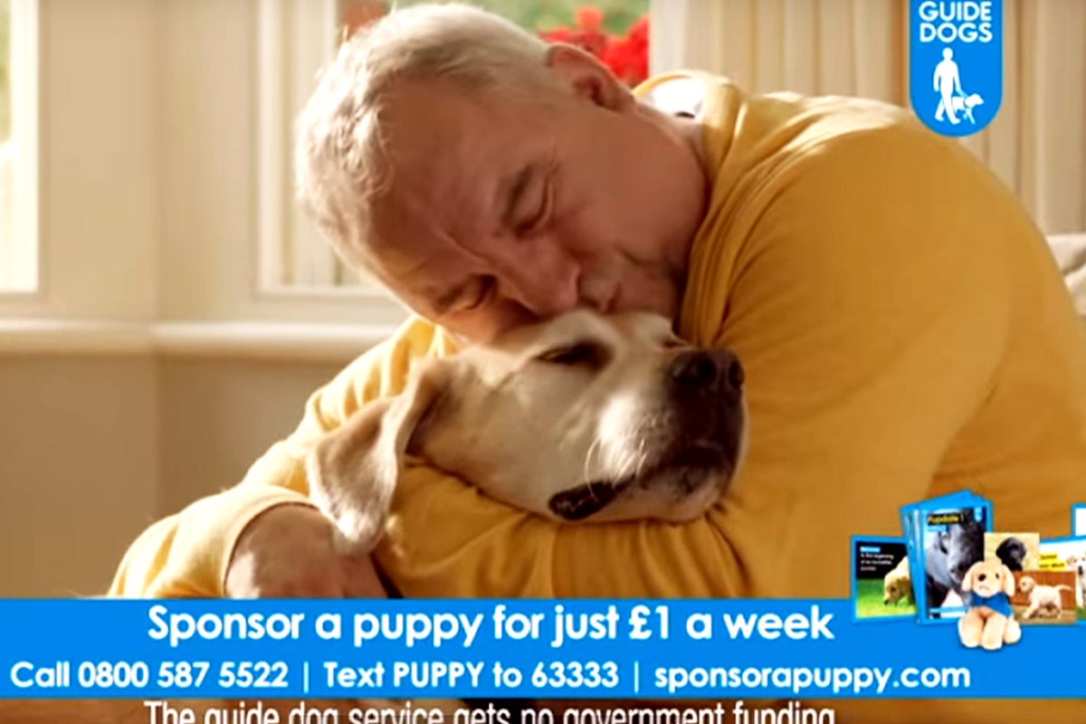 Guide Dogs for the Blind Association has radio advert banned after it ...