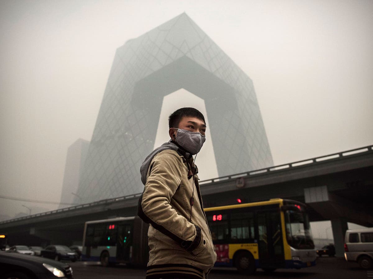 Unhealthy environments kill 12.6 million people each year, WHO report ...