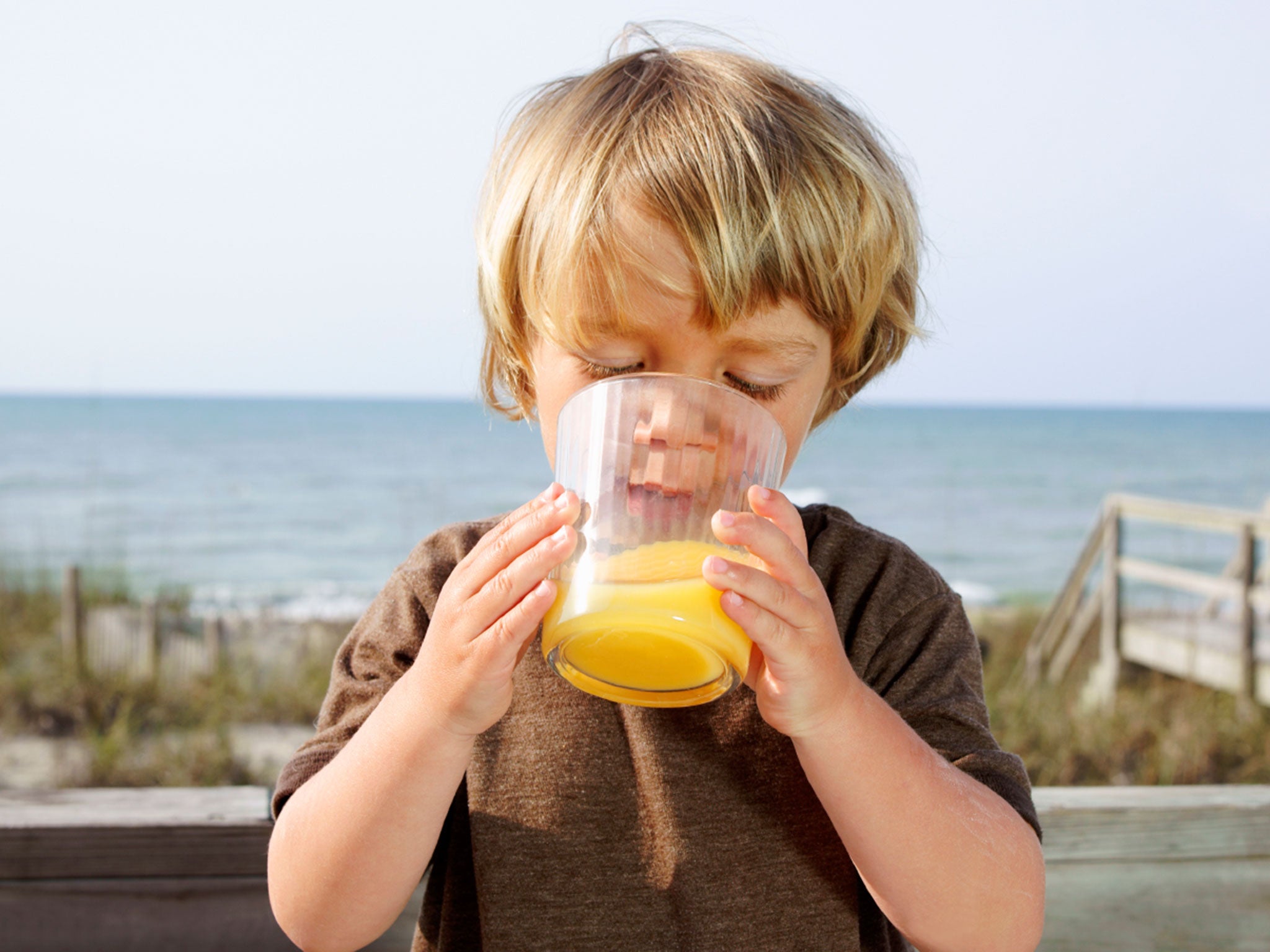 Fruit Drinks Marketed At Children unacceptably High In Sugar The