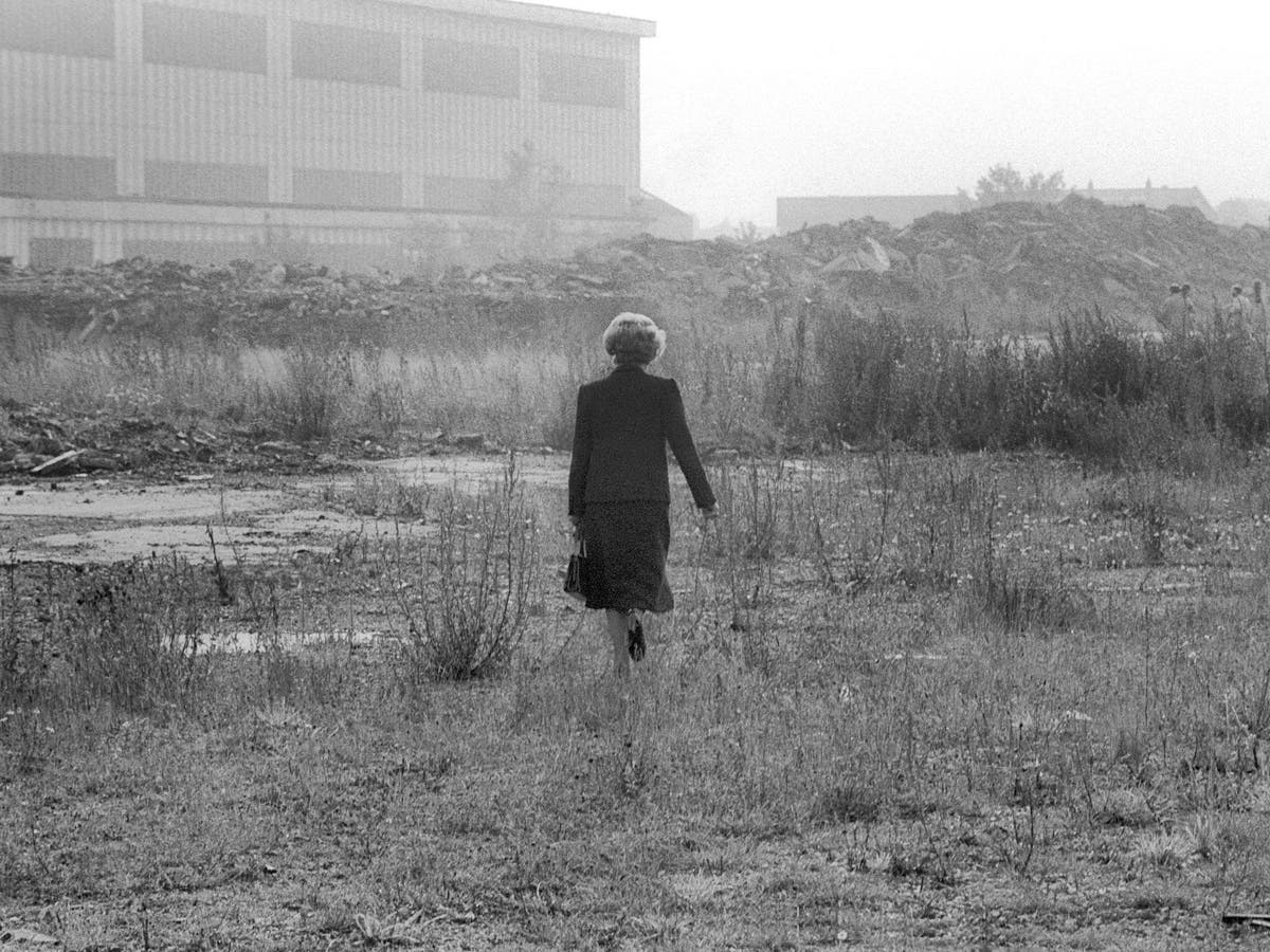 Brexit has exposed how ignorant the educated and cosmopolitan have ...