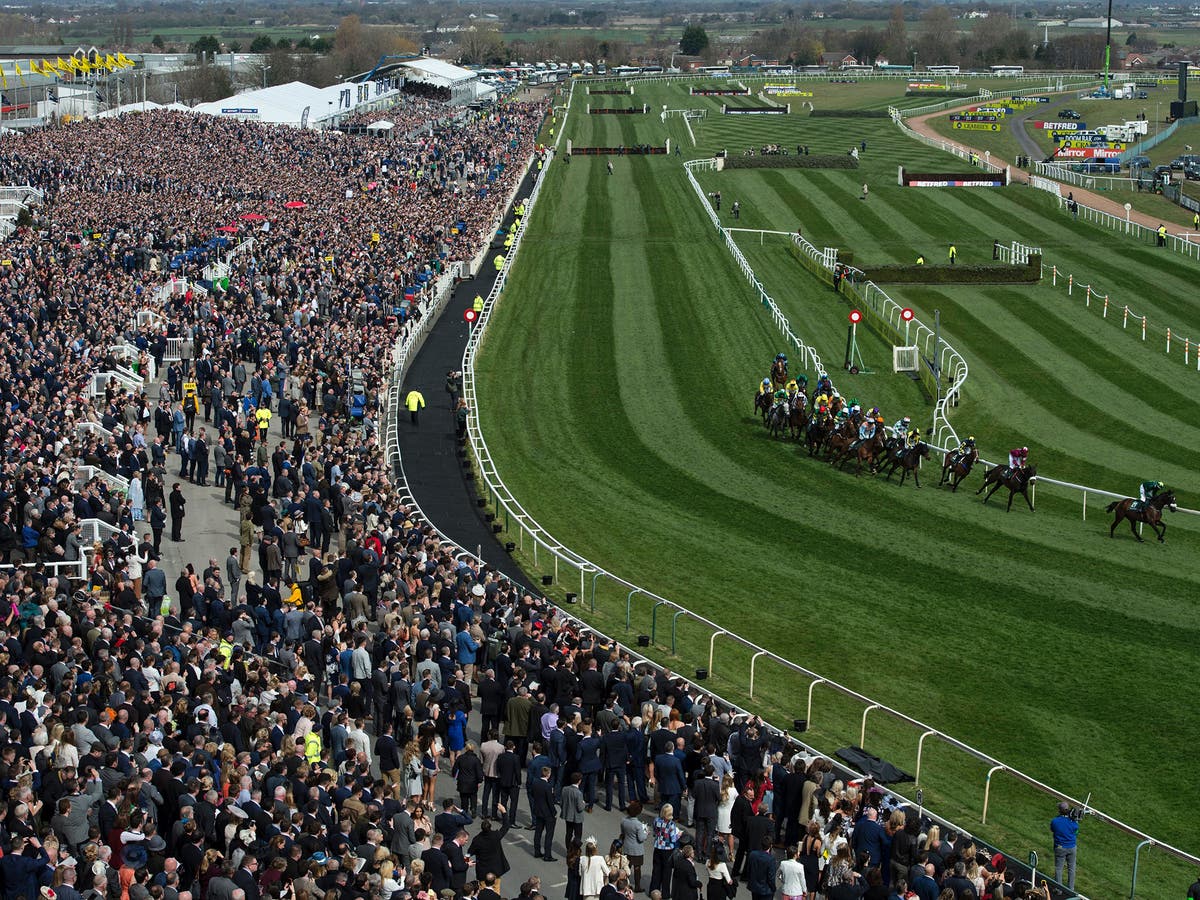 Grand National 2016 live: Rule The World wins ahead of The Last Samuri ...