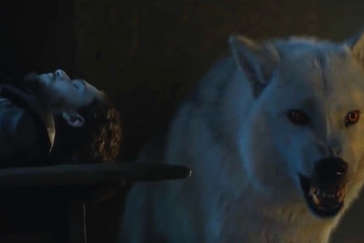 Game of Thrones season 6: New clip shows Jon Snow's direwolf Ghost ...