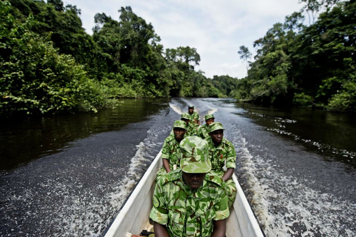 On the frontline of the deadly battle in Gabon against ivory poachers ...