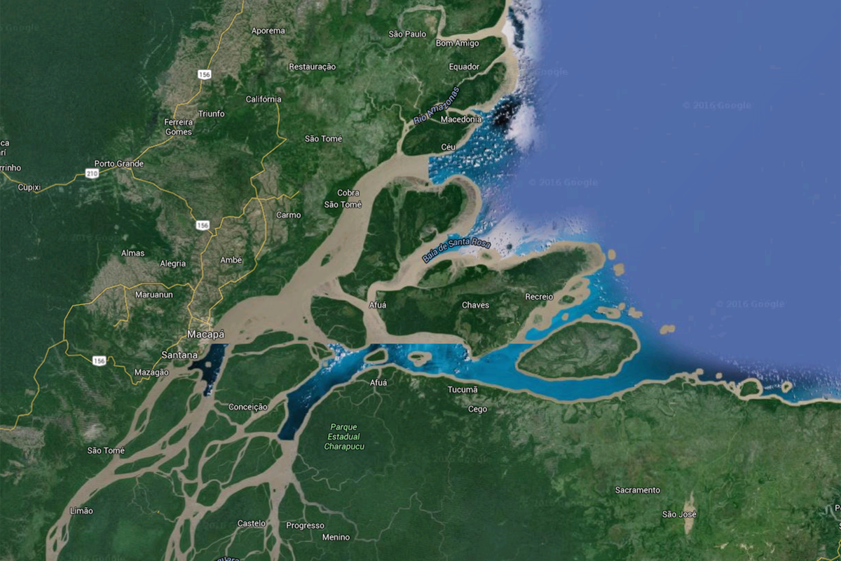 Scientists discover enormous coral reef at the Amazon River | The ...