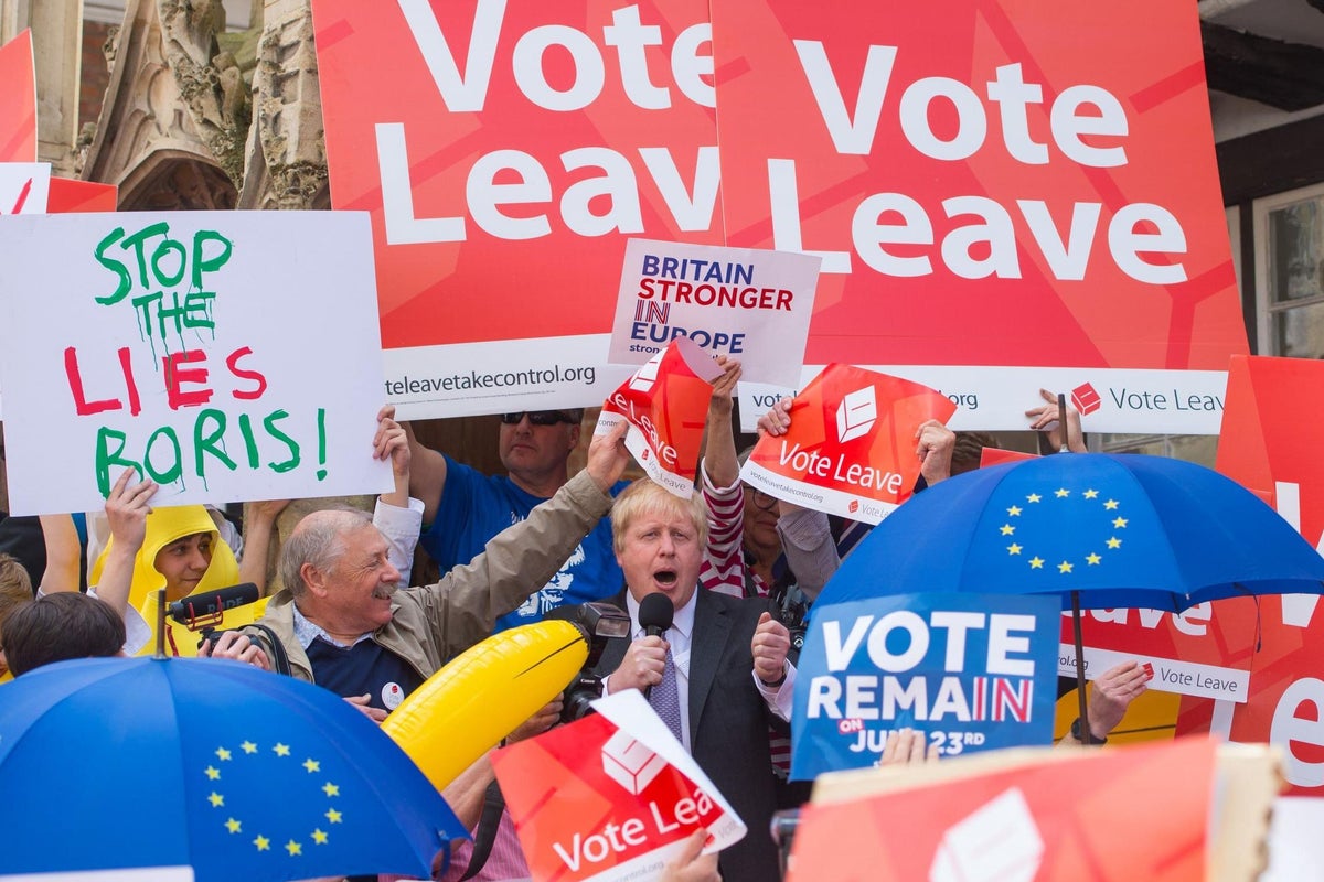 Brexit: Leave ‘very likely’ won EU referendum due to illegal ...