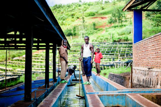 How good coffee gets to you and the Rwandan communities it supports ...