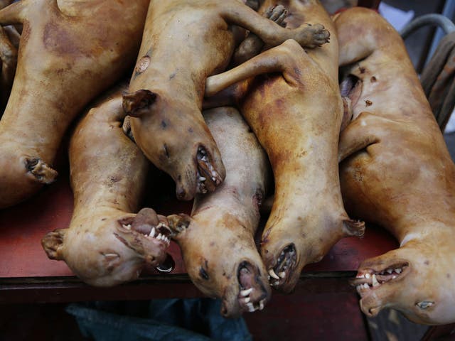 Yulin Dog Meat Festival 2016: Animal activists save caged dogs from ...