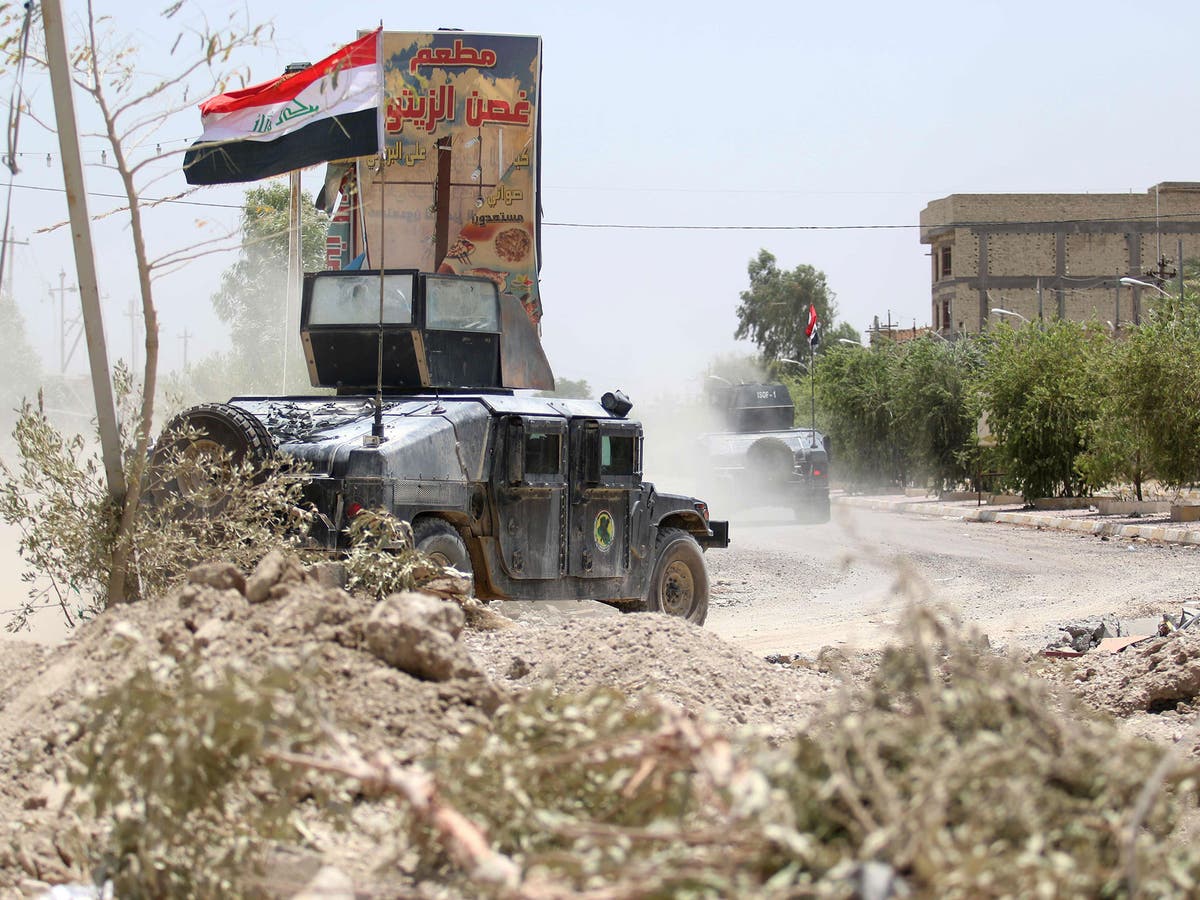 Fallujah, the 'resistance' city, is liberated yet again – for the ...