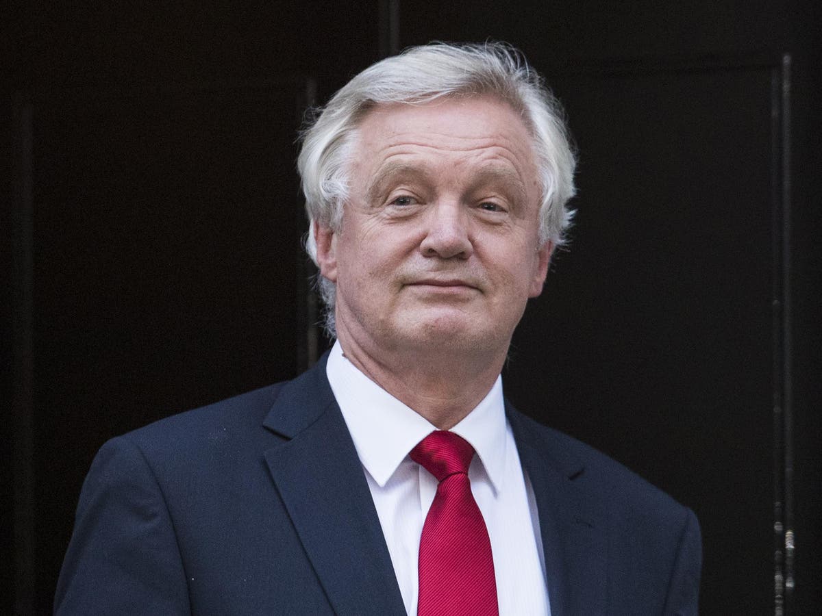 Who is David Davis? The Brexit minister taking legal action against the ...