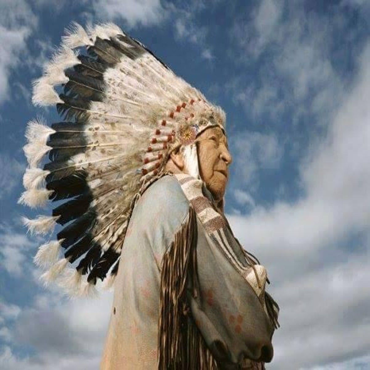 Chief David Bald Eagle Chief Dave Bald Eagle, Film Adviser