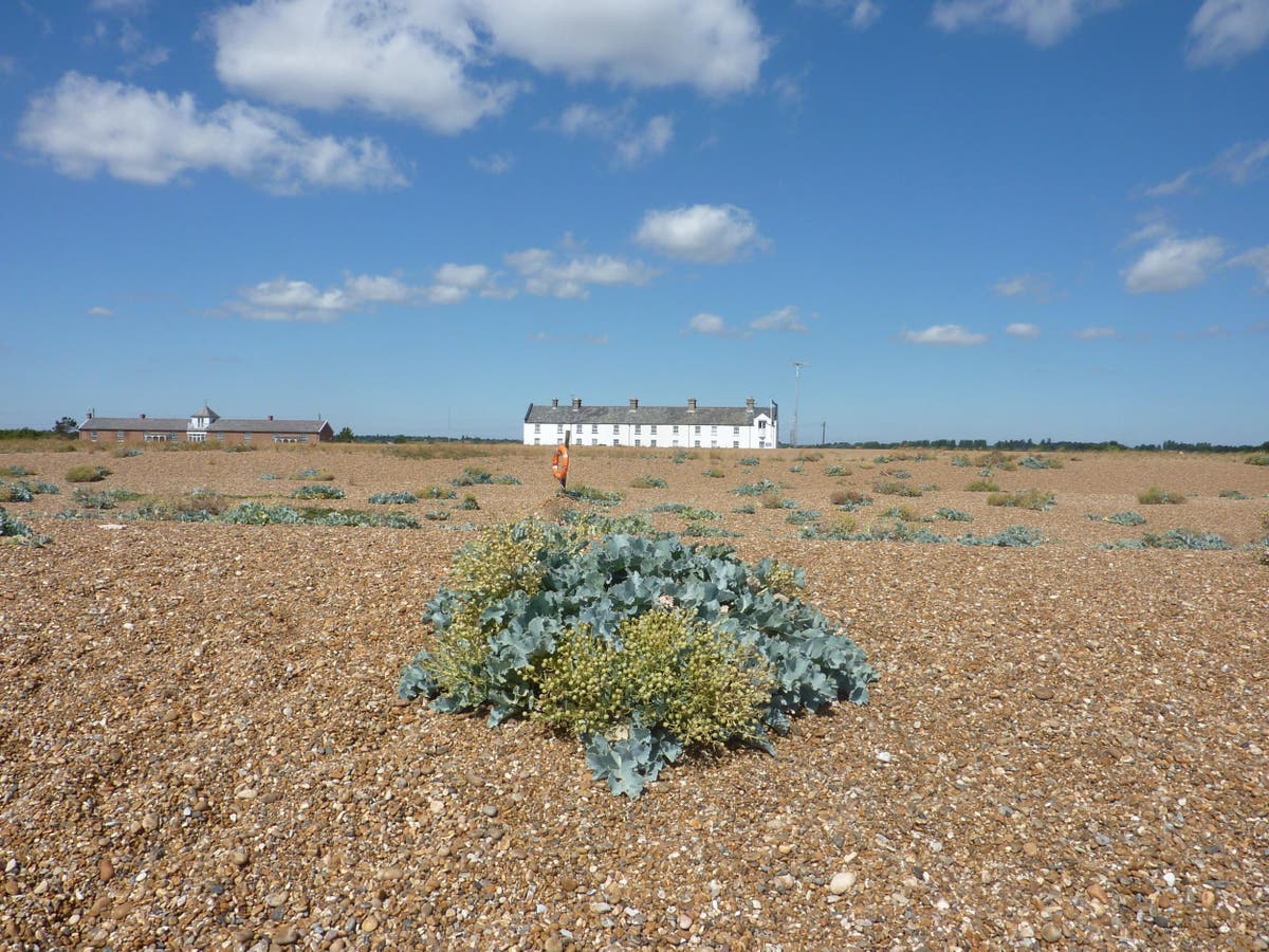 Cool Place of the Day: Shingle Street, Suffolk | The Independent | The ...