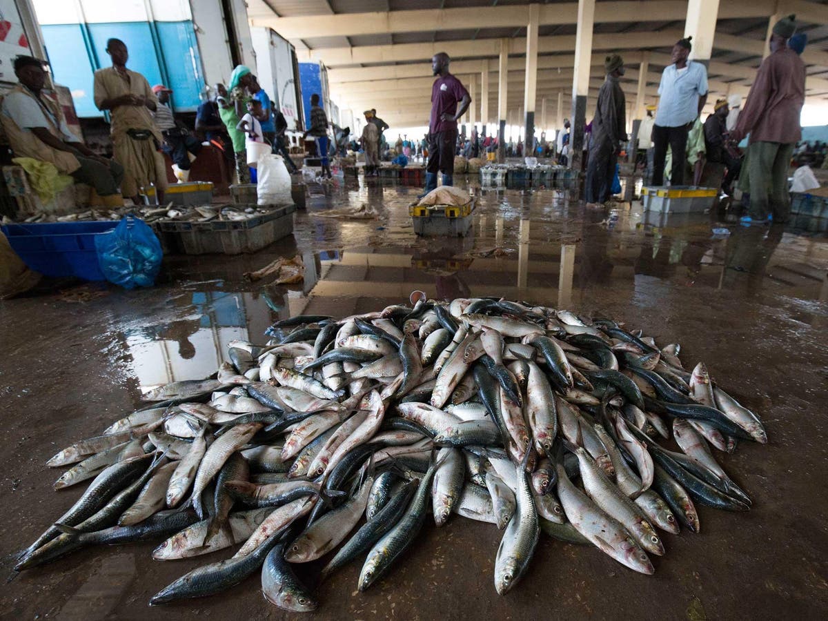 Man Eating Fish In Africa