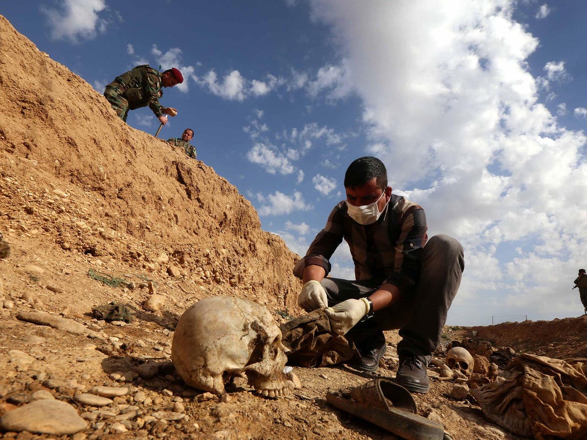 Humans evolved to have an instinct for deadly violence, researchers ...