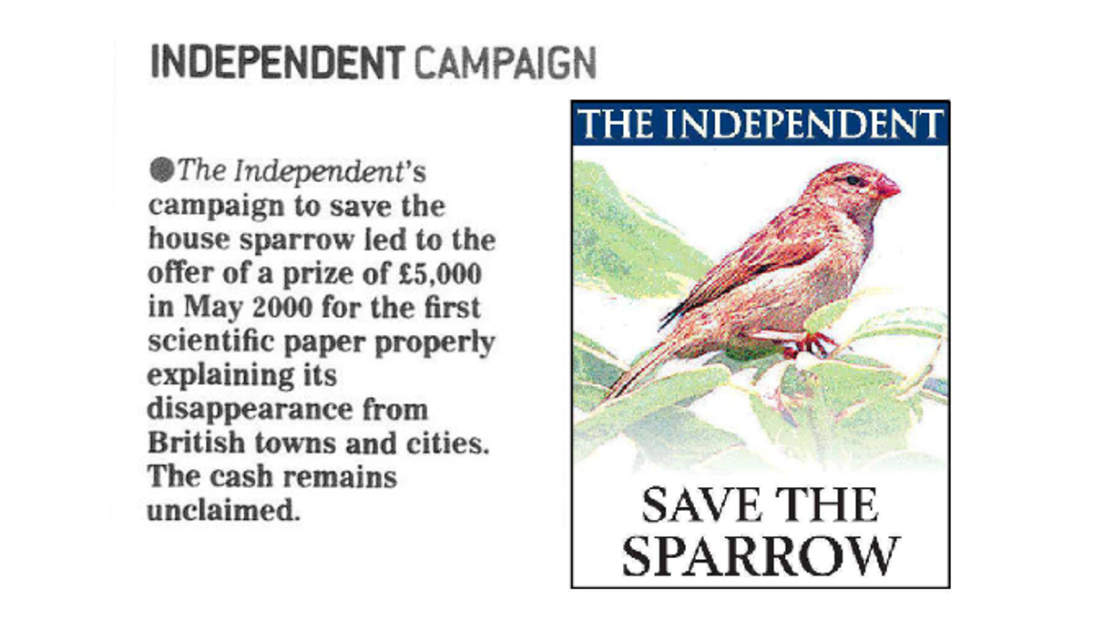 Where have all the sparrows gone? | The Independent | The Independent