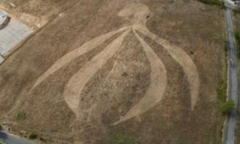 A 'giant clitoris' has appeared in a field in France - and everyone ...