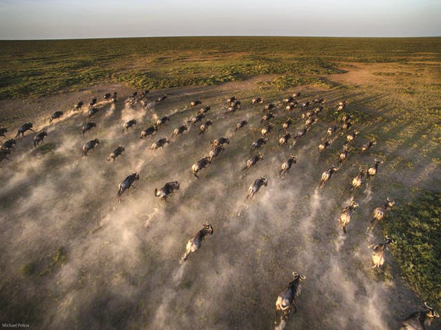 The world’s most luxurious travel experiences | The Independent | The ...