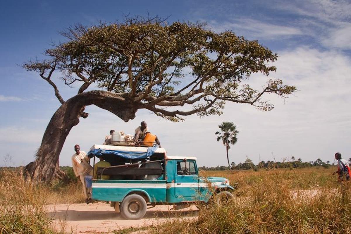 Sacred trees and deserted beaches: Holidaying in the Casamance, Senegal ...