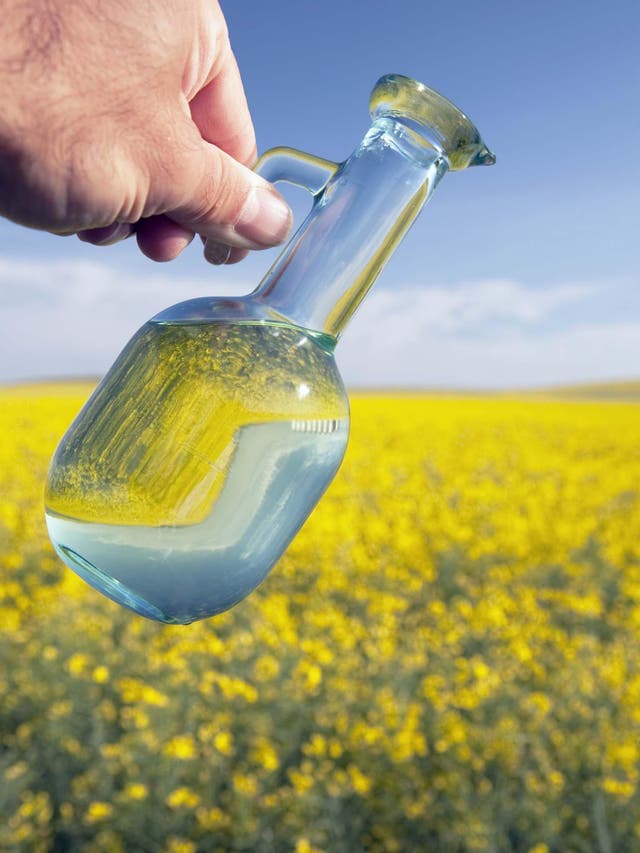 Scientists discover vegetable oil that 'helps reduce stomach fat' | The ...