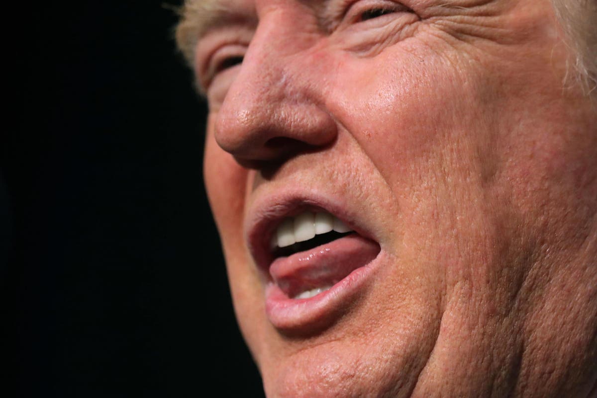 Downing Street wishes Donald Trump 'good luck' in US election despite ...