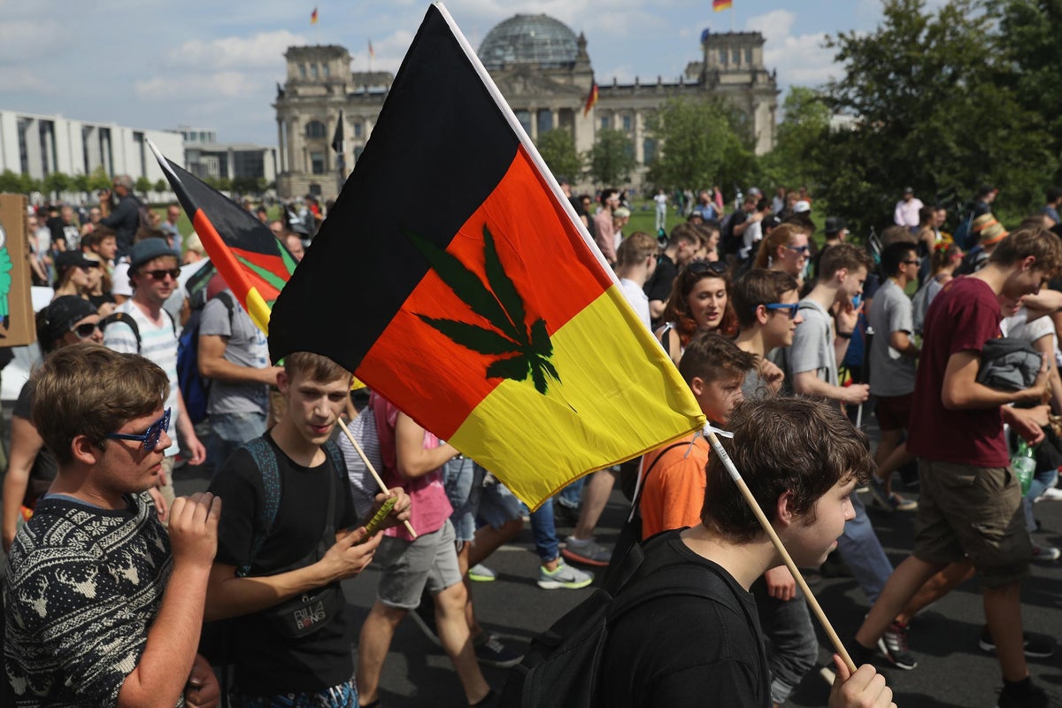Germany could legalise cannabis in new revenue boosting drug policy ...