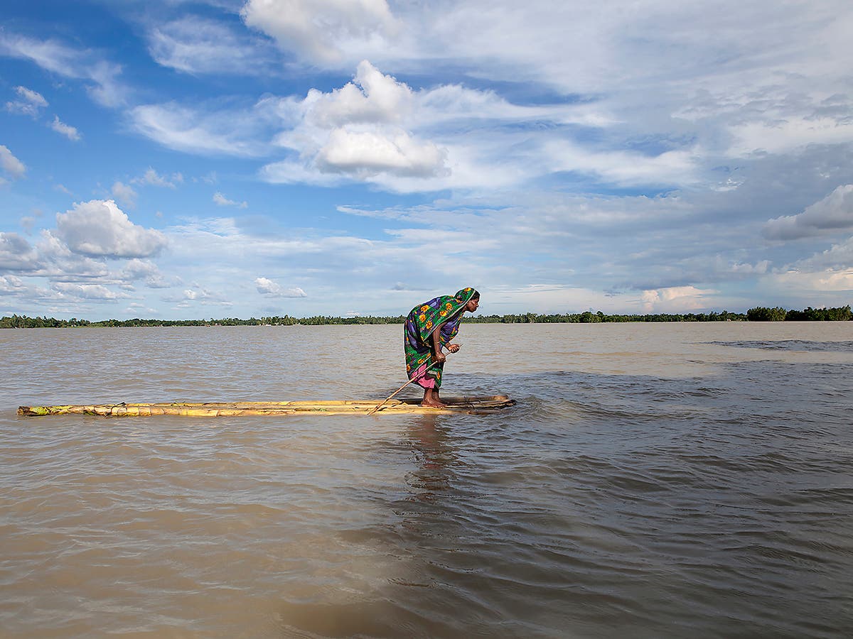 Climate change in pictures: photographs from around the world show ...