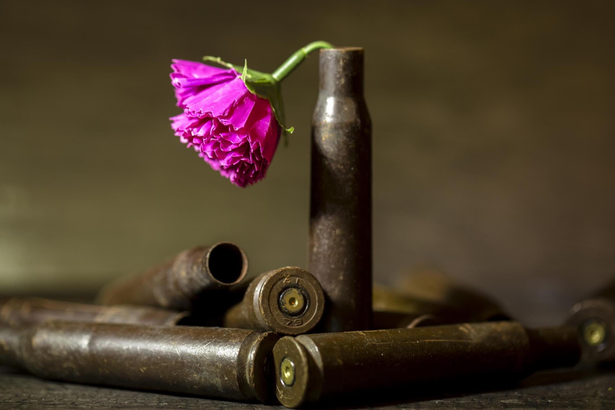 The US military is trying to create bullets that will turn into plants ...