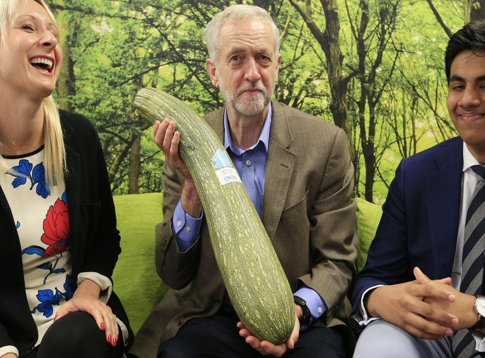 There’s a courgette crisis in the UK and people are losing their minds ...