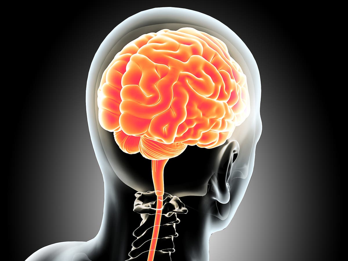 Binge eating and bulimia can be treated by electrically stimulating ...