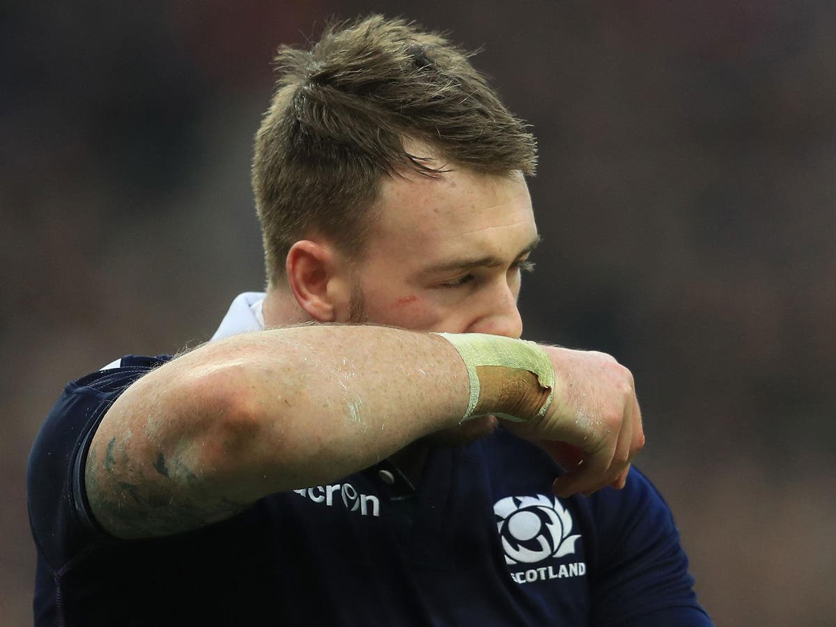 Stuart Hogg says Scotland only have themselves to blame as Scott ...