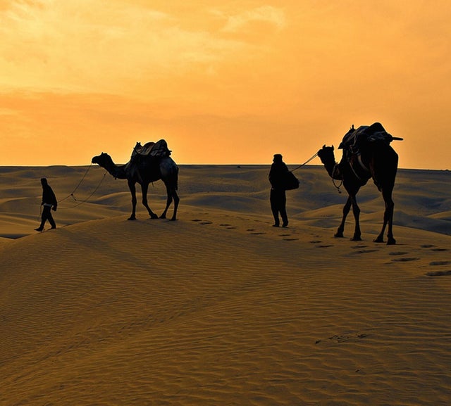 Dana Royer | The Independent