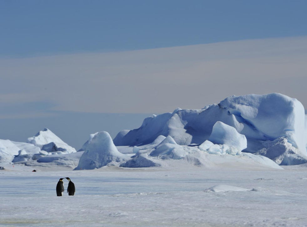 Earth Endangered Icebreakers The Future Of Arctic