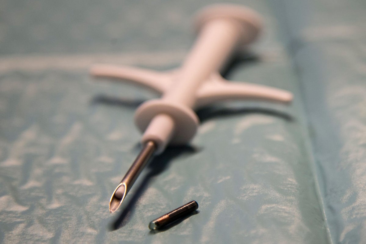 Swedish workers implanted with microchips to replace cash cards and ID ...