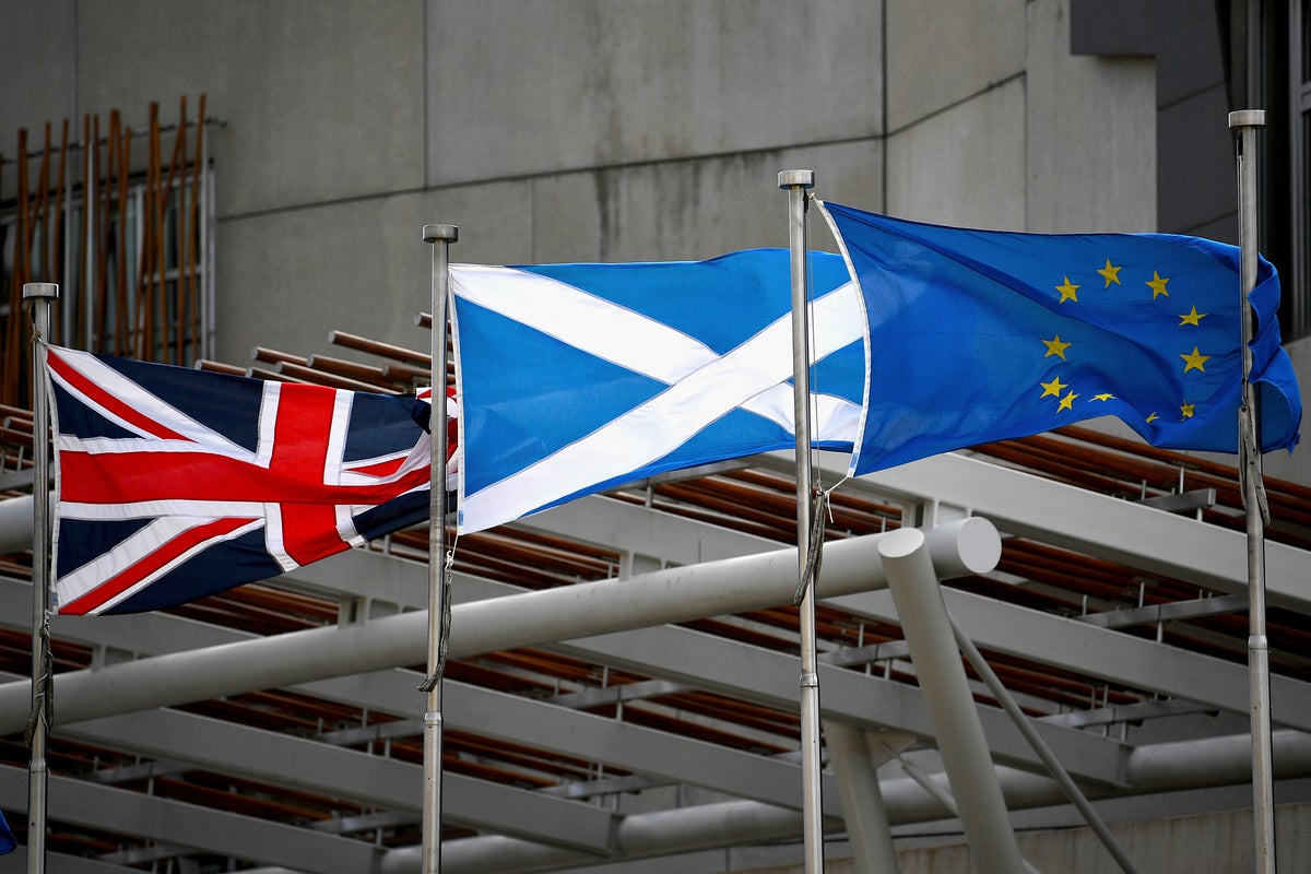 Forget the SNP – Conservatives are making a big comeback in Scotland ...