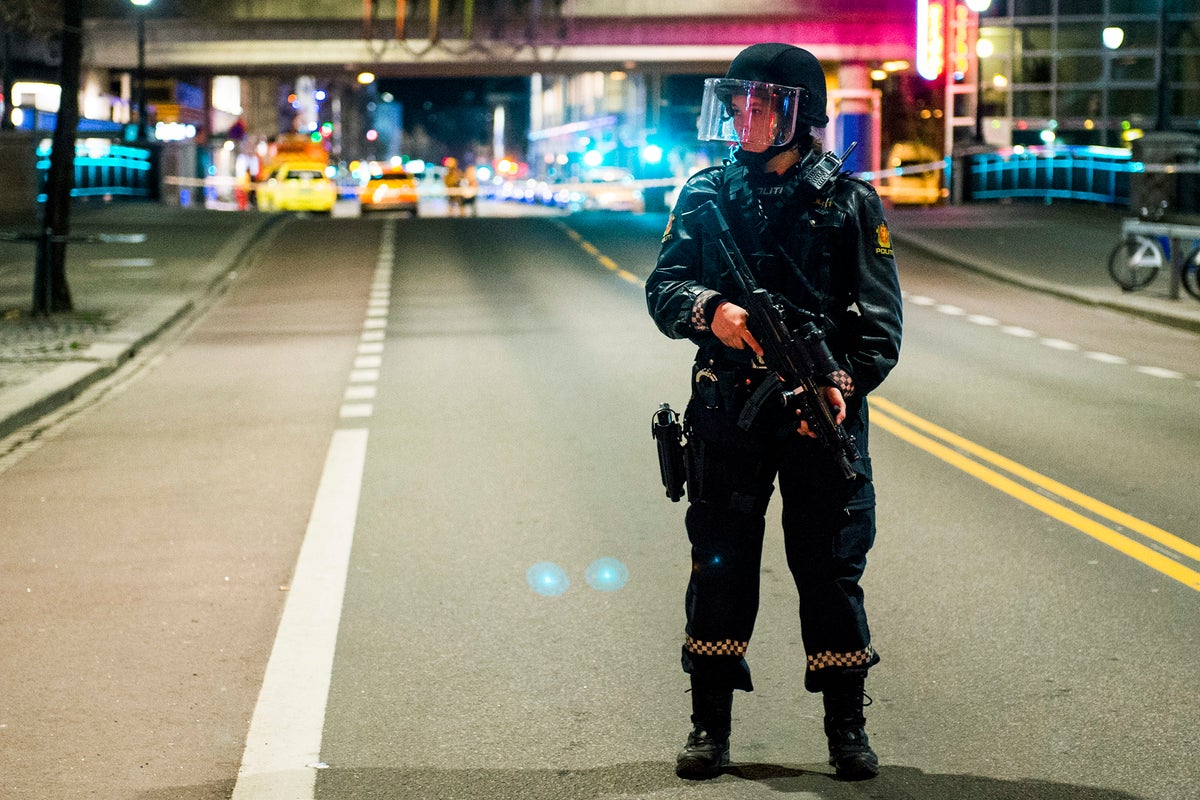 Oslo: Police arrest man after gun fired in shopping centre | The ...